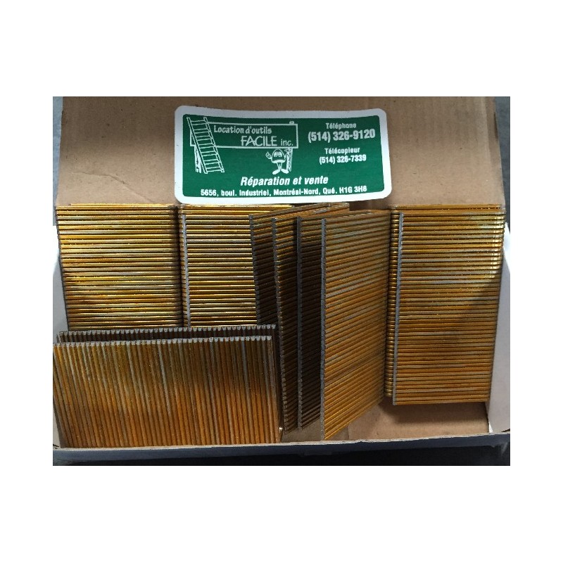 Floor staples BCS1514